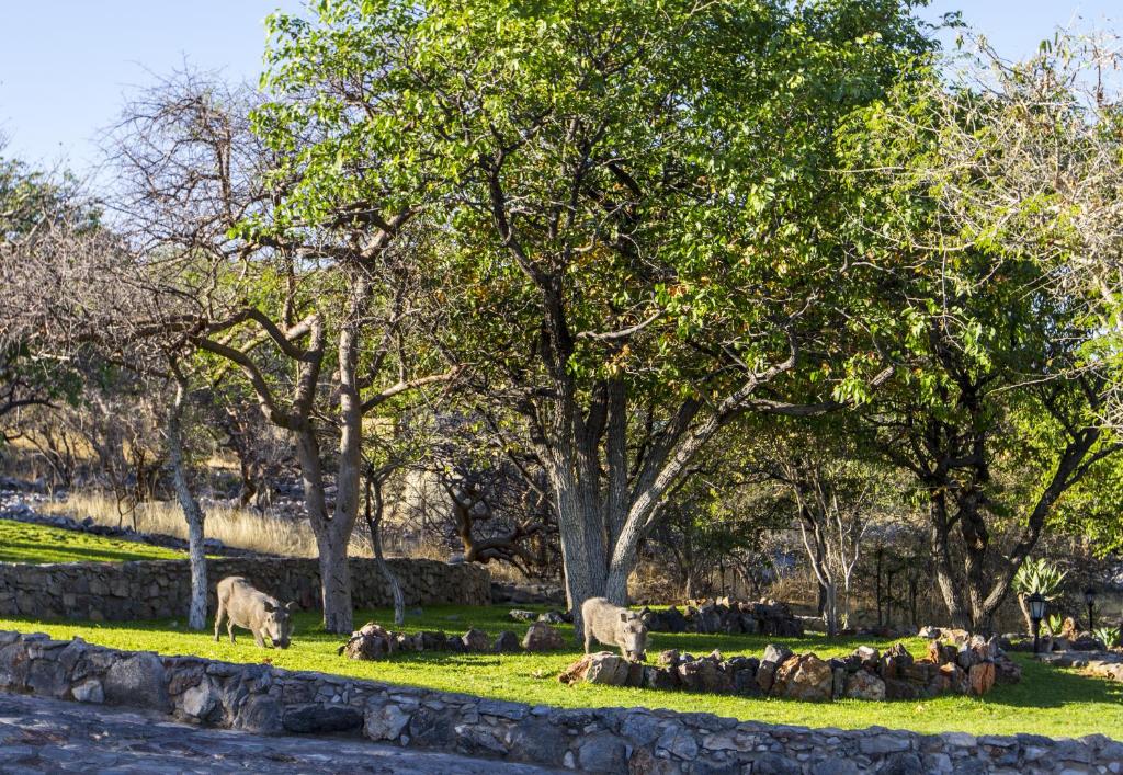 Epacha Game Lodge - CHOOSETHEMOON